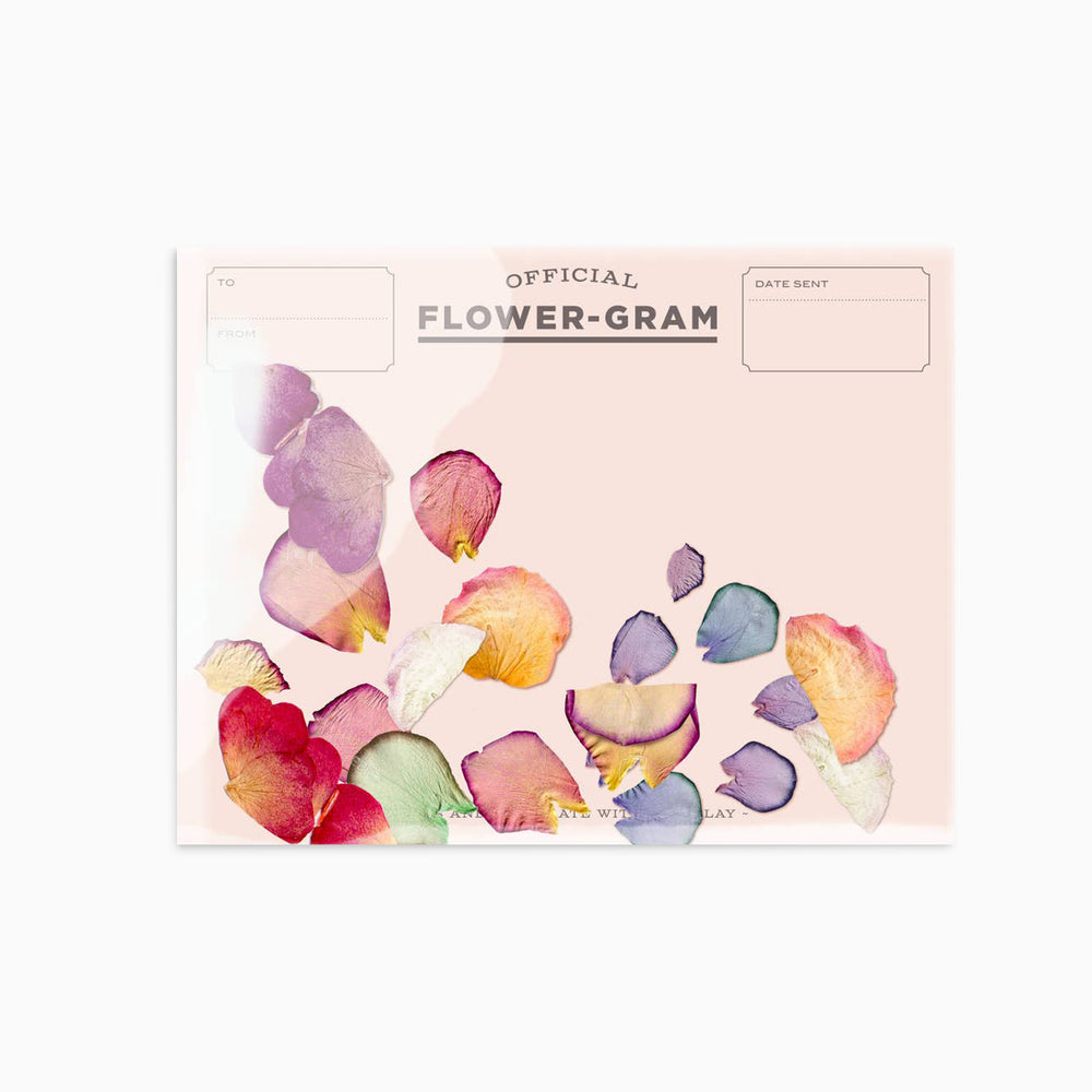 Flowergram Card - Peony, Rose + Hydrangea